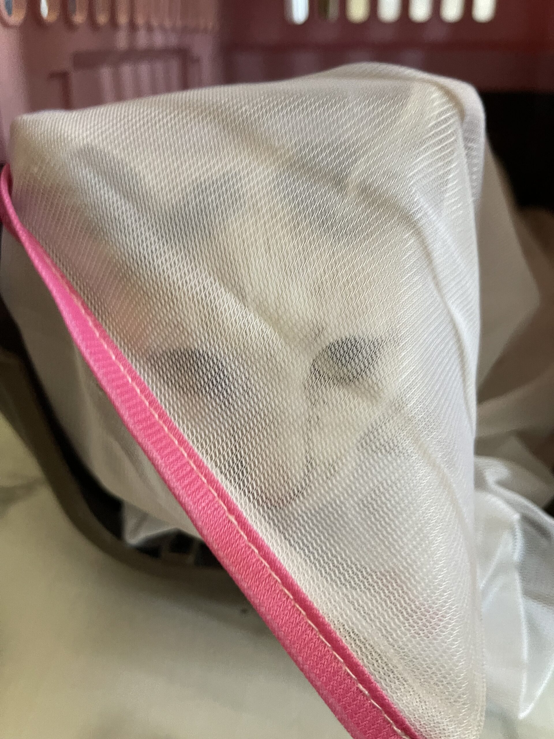 TNR活動 | NPO法人ドリームキャット